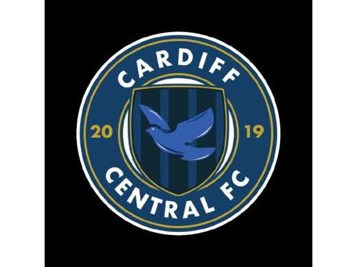 Cardiff Combination Football League - CCFL First Division